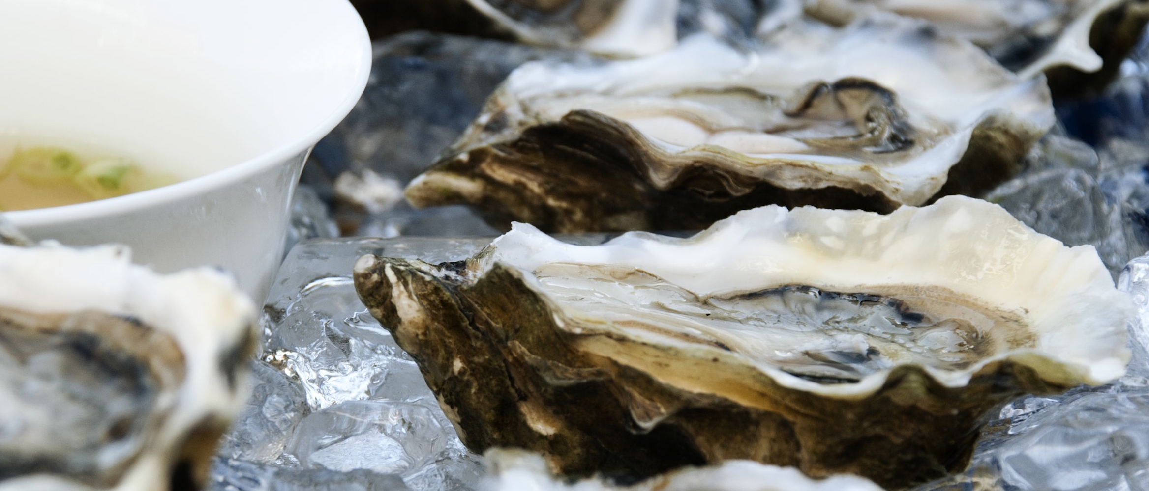 Grassy Bar Oyster Co.
