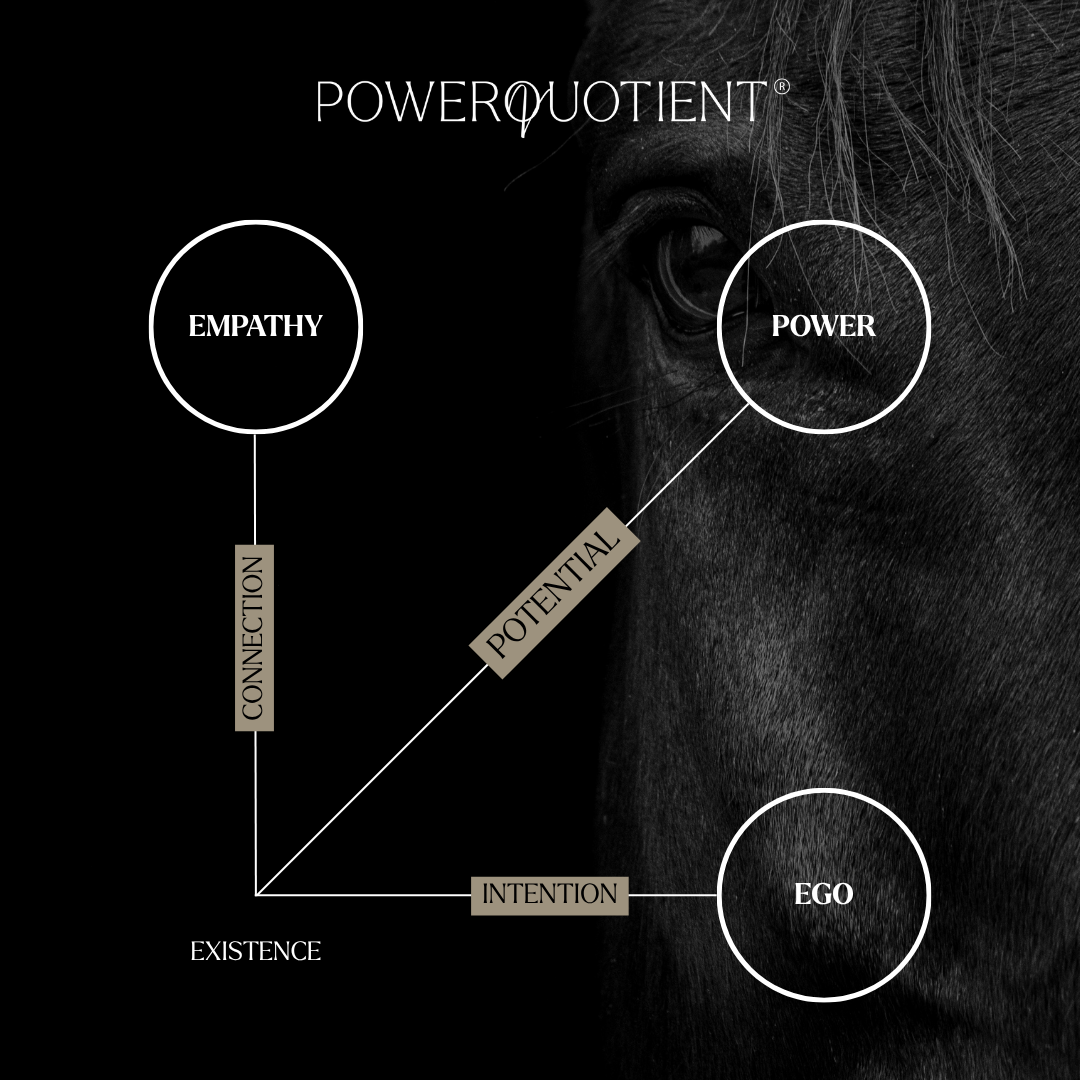 The Power Quotient Leadership Framework — Vicki Macdermid Executive ...