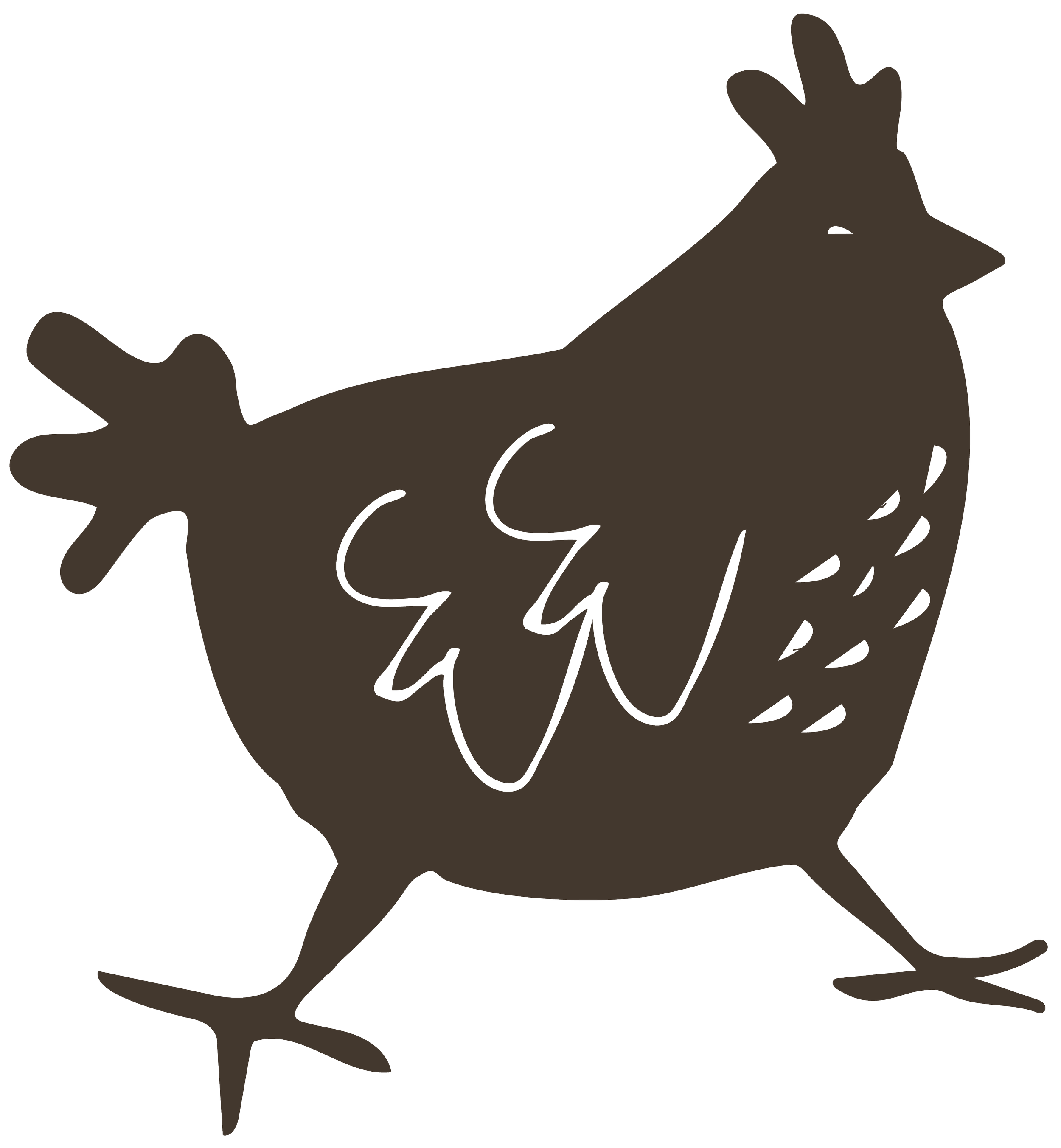 Our Work | Maneki Neko Cat Rescue — Studio Bhalu