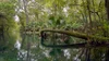 Ockawaha River Interactive Map — Florida Defenders of the Environment