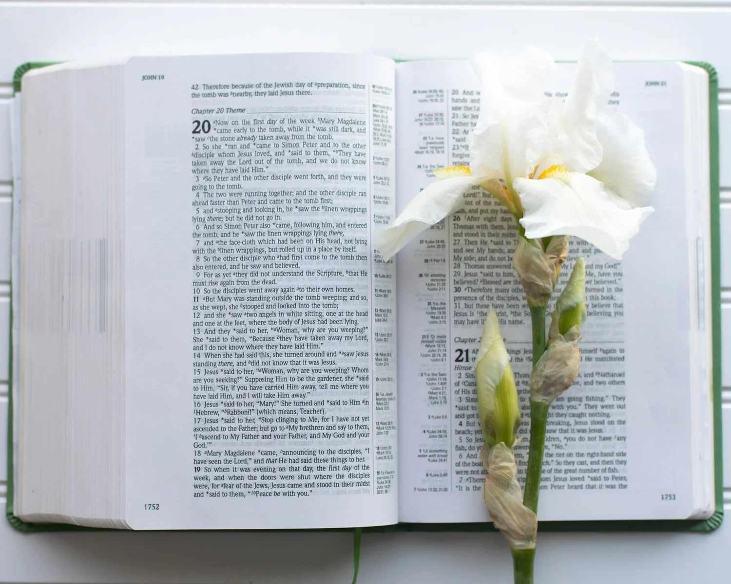 “Miracles of the Bible: Powerful Stories of God’s Wonders and Their ...