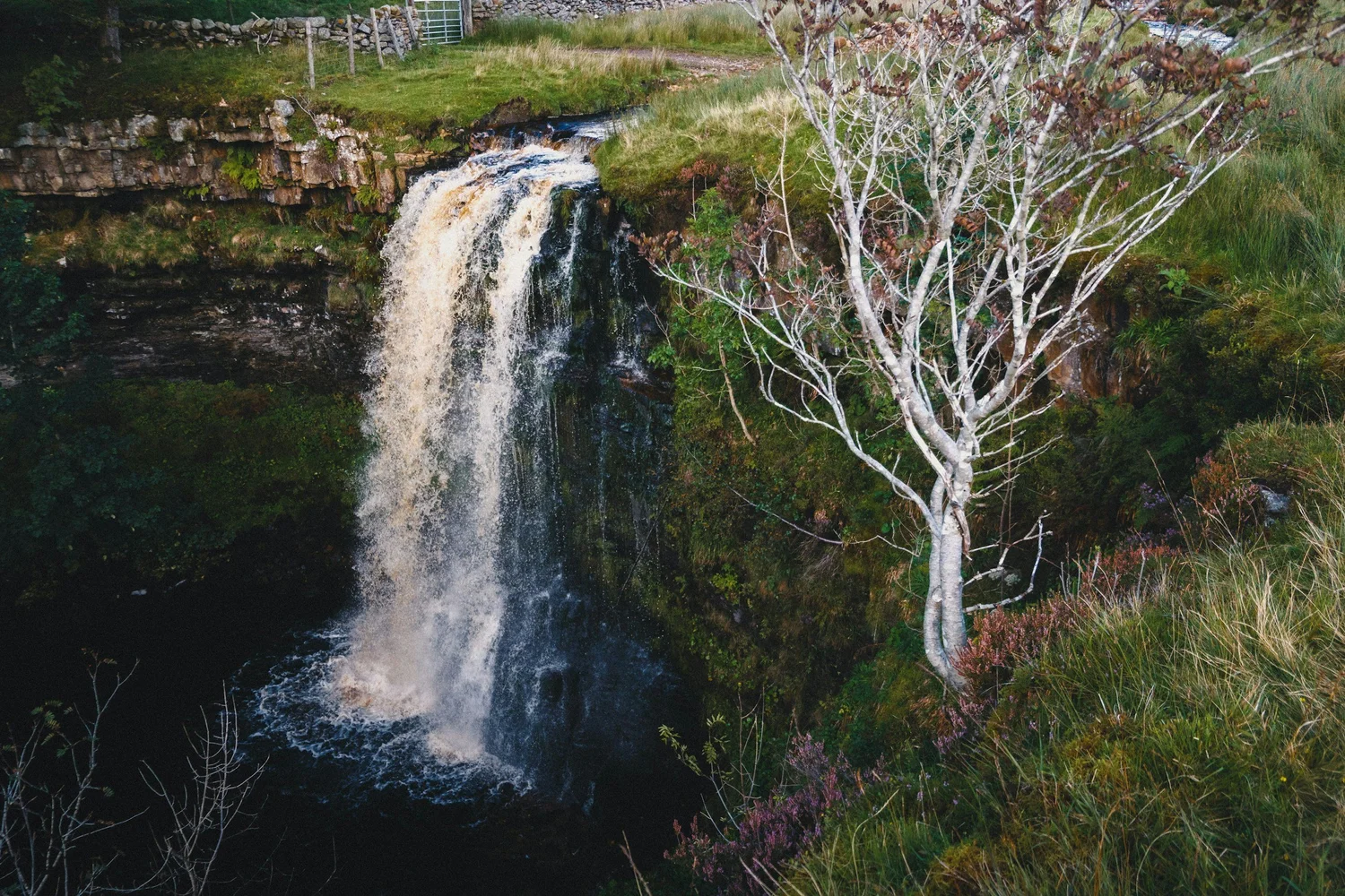 The Fall and the Promise: A Detailed Story and Study of Genesis Chapter ...