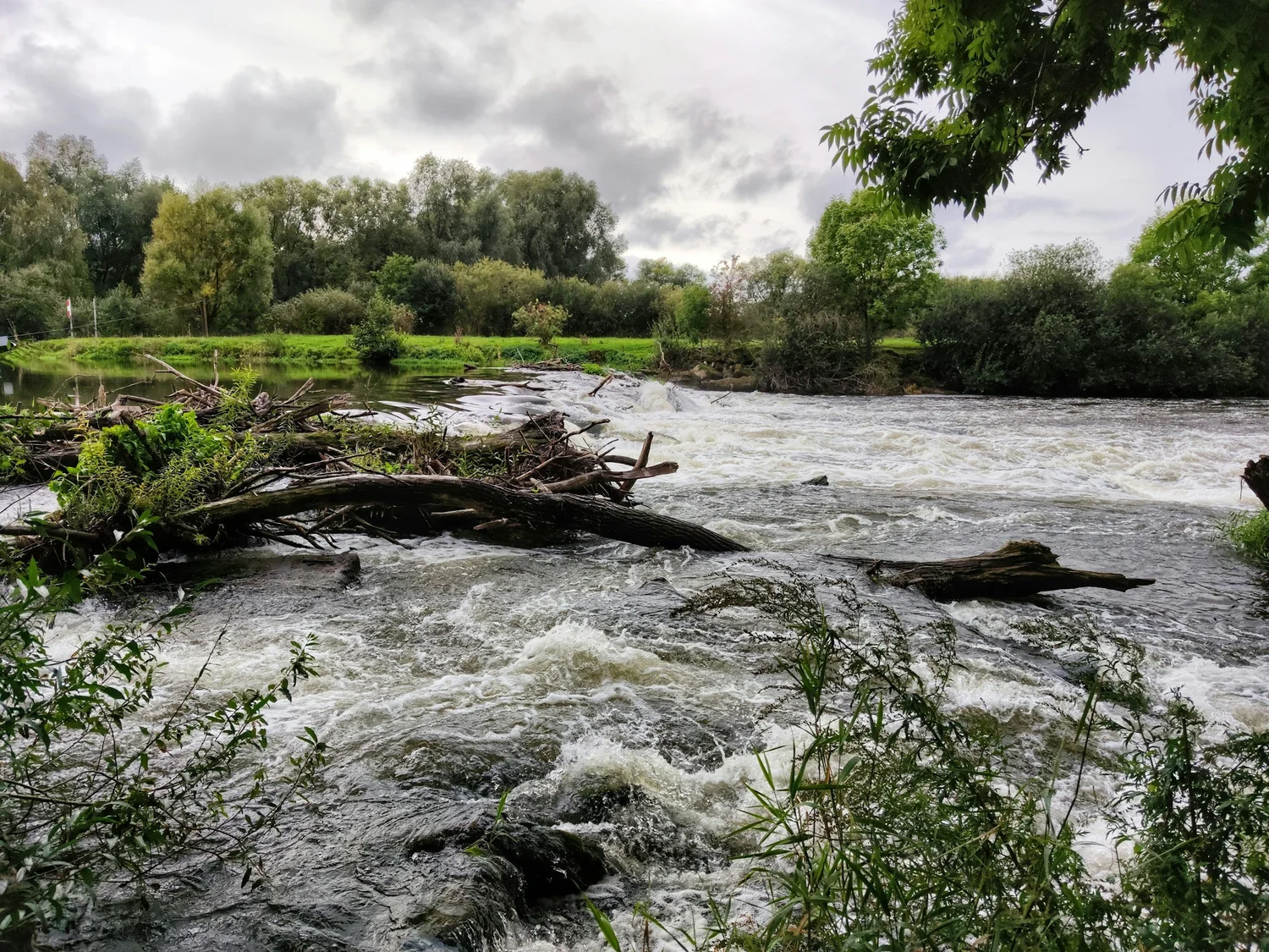 The Flood and God’s Covenant: Trusting Divine Promises — Bible Truth ...