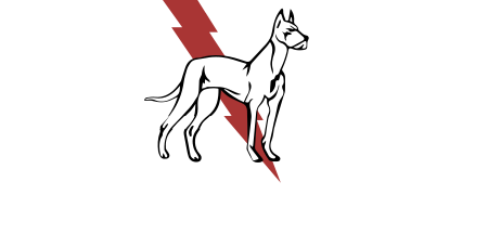 Dane Electric | Discover Reliable Electrical Solutions Today
