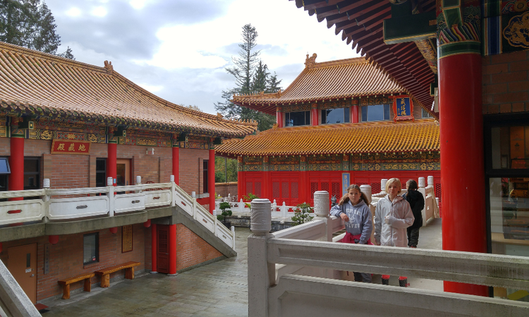 The Canadian Table | Discover Canadian Flavors – Try Now