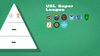 American Professional Soccer Pyramid: 2025 — FORM