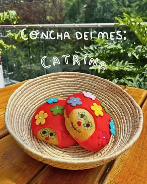 Santas Conchas