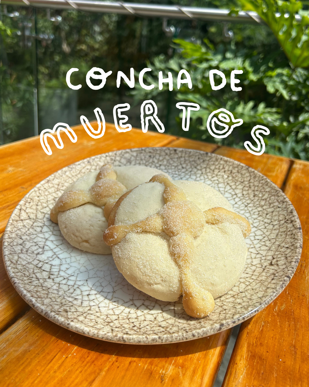 Santas Conchas