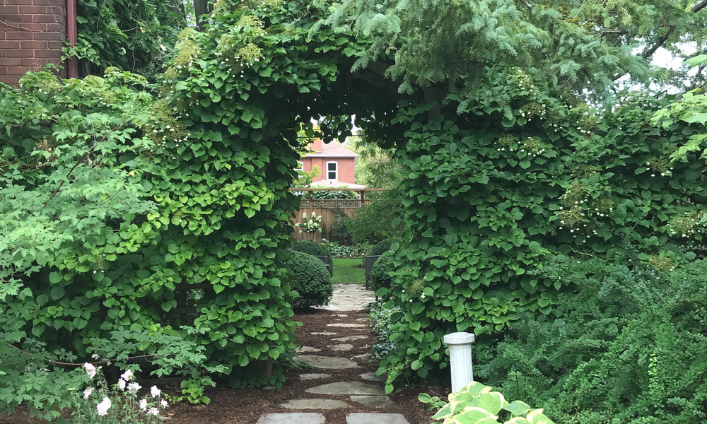 The Garden Girls Garden Care