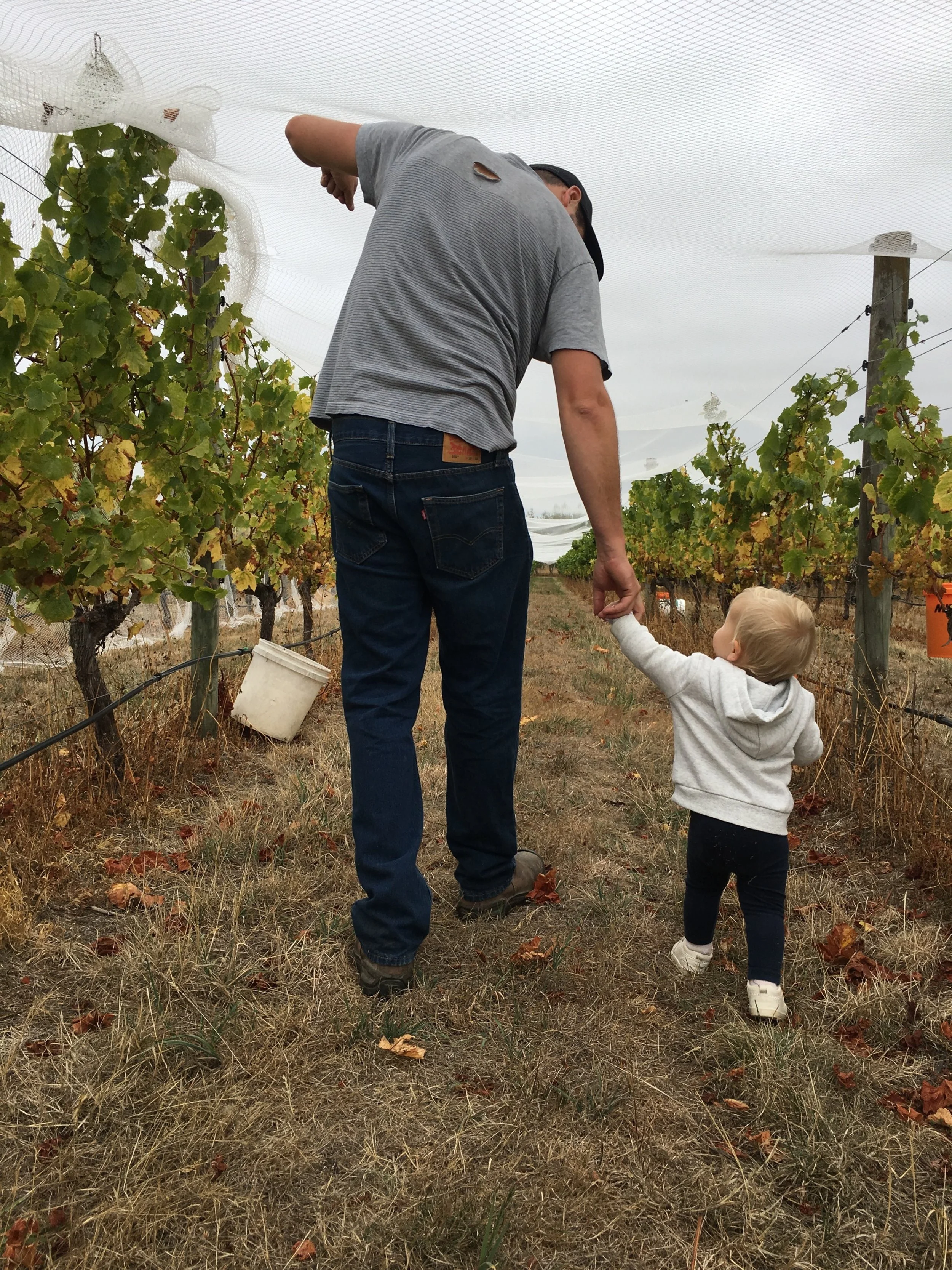 The Good Way | Experience Quality Wines – Join Us Today