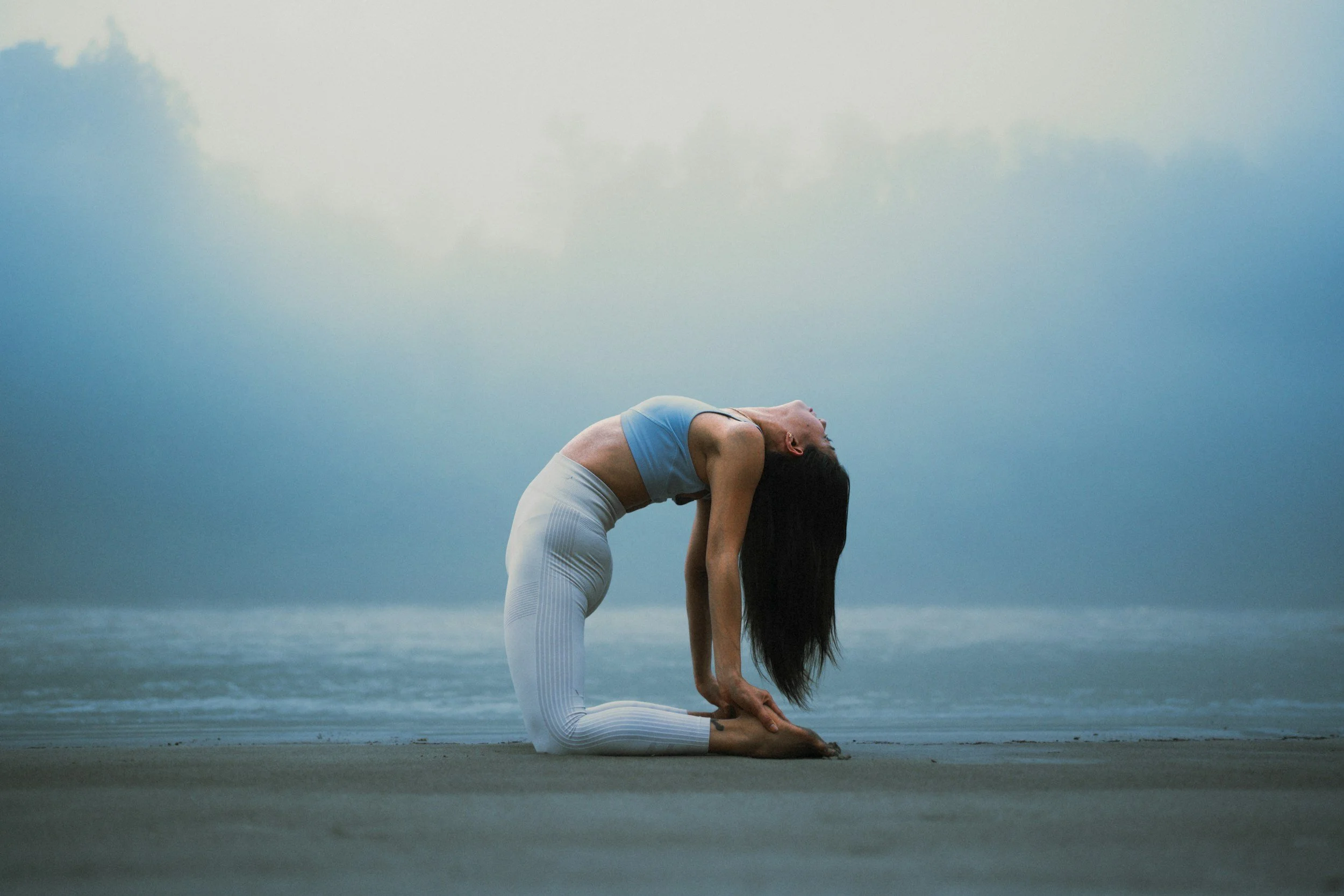 Understanding Fascia — Flexible Anatomy