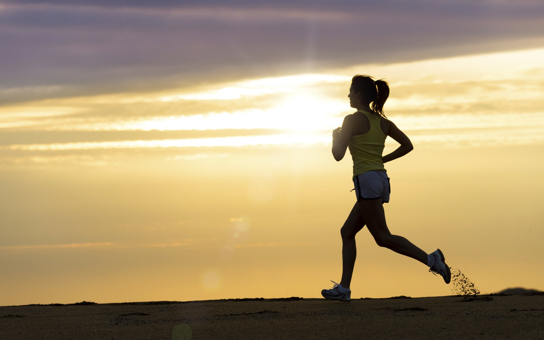 Understanding Fascia — Flexible Anatomy