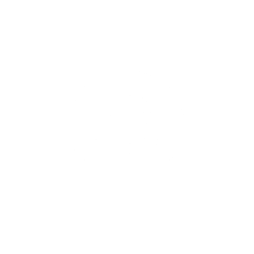 Services | Enhance Movement Today — Collins Physio