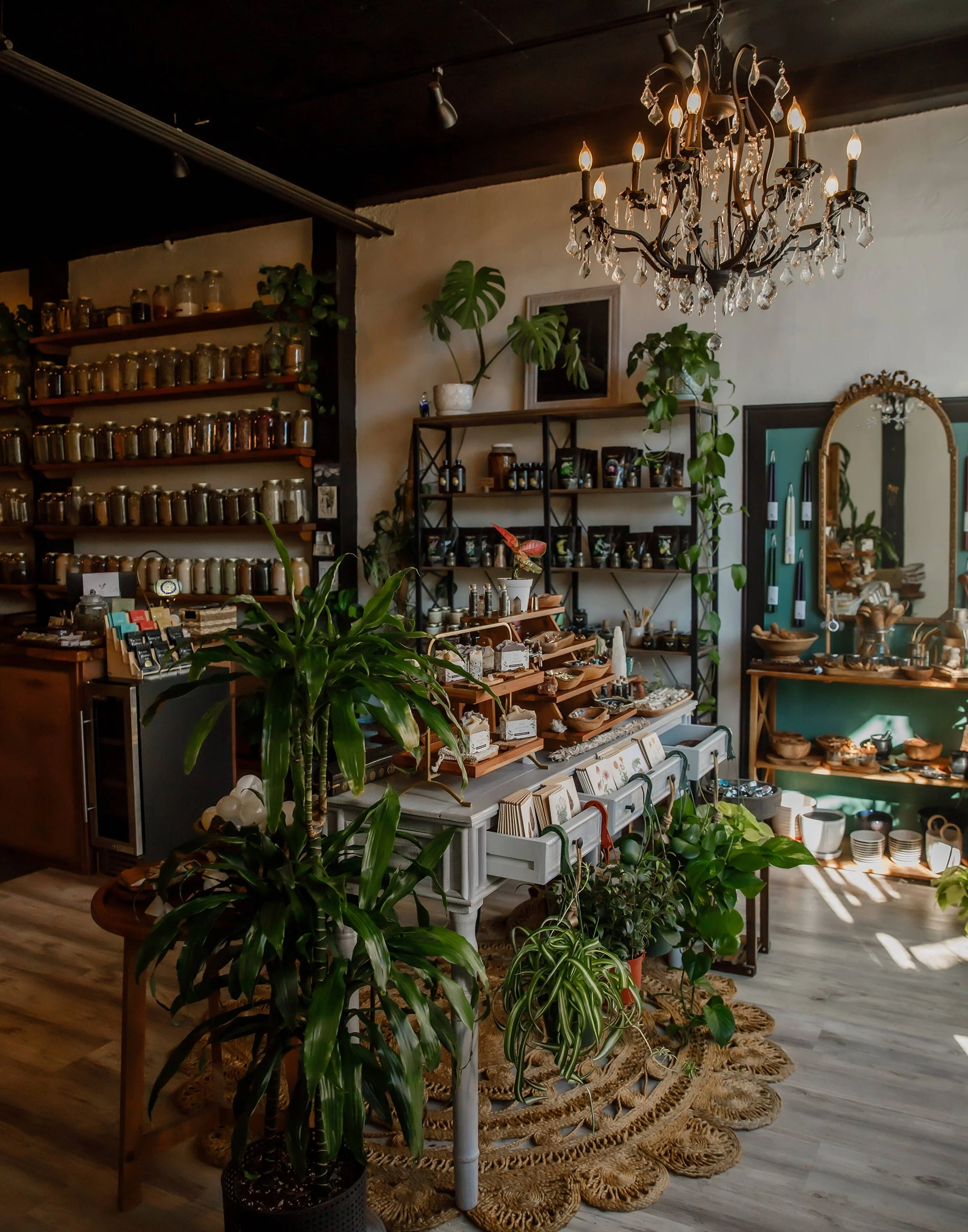 Balanced Root Apothecary