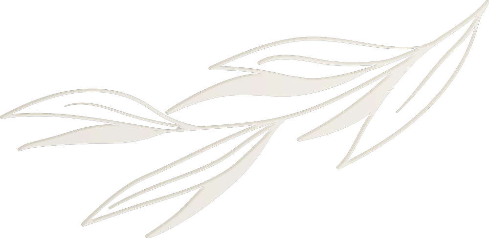 The 57 Bus by Dashka Slater | YA Nonfiction — Dashka Slater