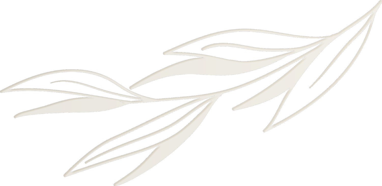 The 57 Bus by Dashka Slater | YA Nonfiction — Dashka Slater