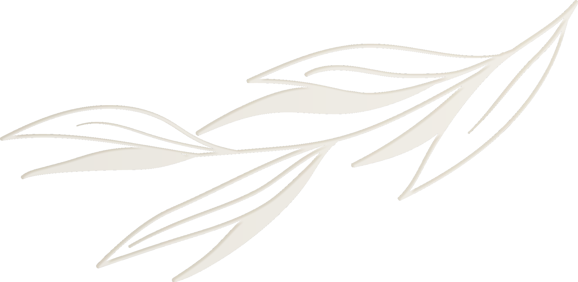 The 57 Bus by Dashka Slater | YA Nonfiction — Dashka Slater