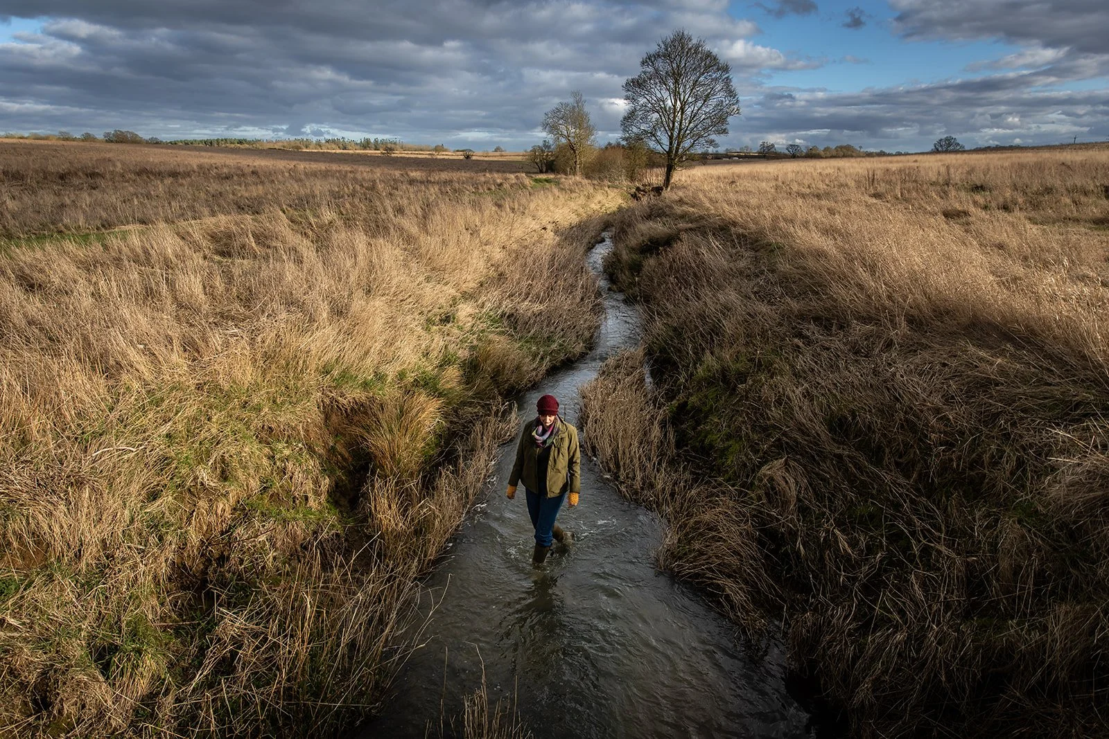 Boothby Wildland, Grantham | Landscape-Scale Nature Restoration