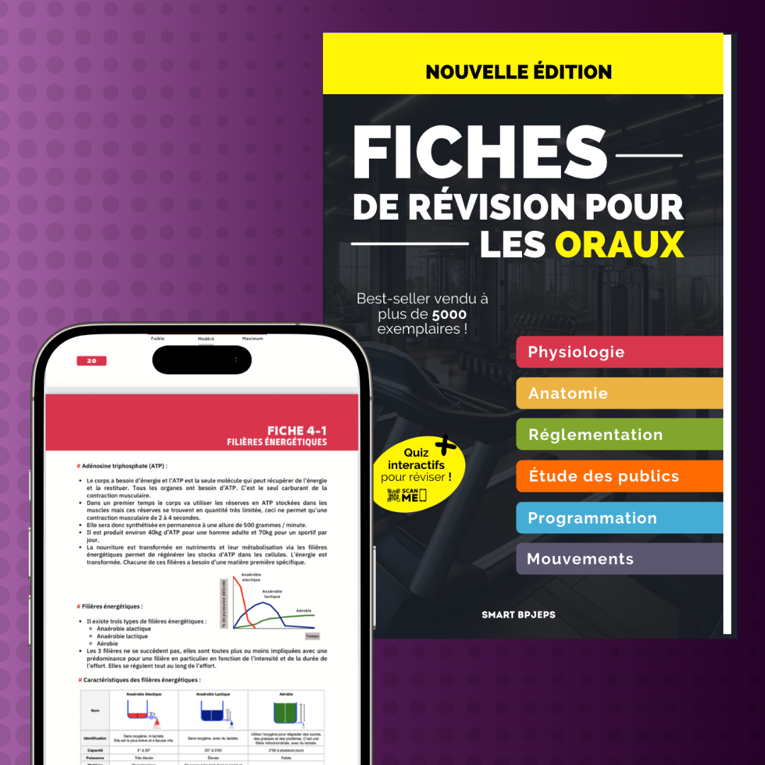 QUIZ RÉGLEMENTATION BPJEPS | Réglementation du sport, rôle et obligations du coach sportif