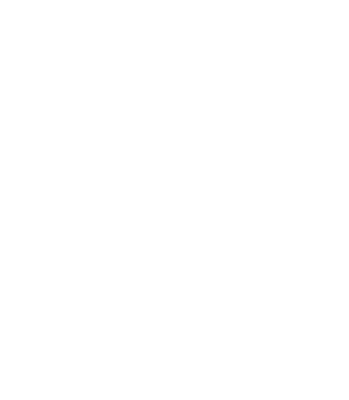 Summit Risk Partners