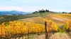 Fall in Italy: Why Autumn Might be the Best Time to Visit (And How to ...
