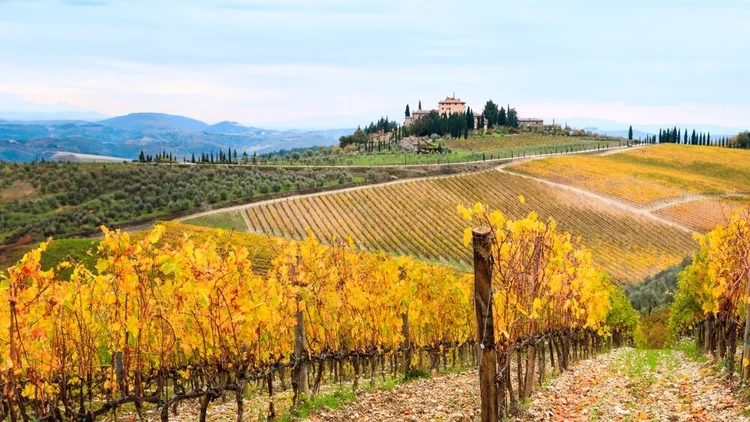 Fall in Italy: Why Autumn Might be the Best Time to Visit (And How to ...