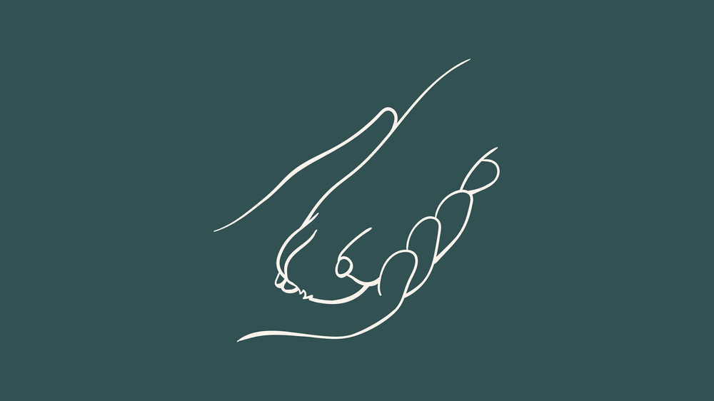 Understanding Animal Hospice and Palliative Care — Evvi
