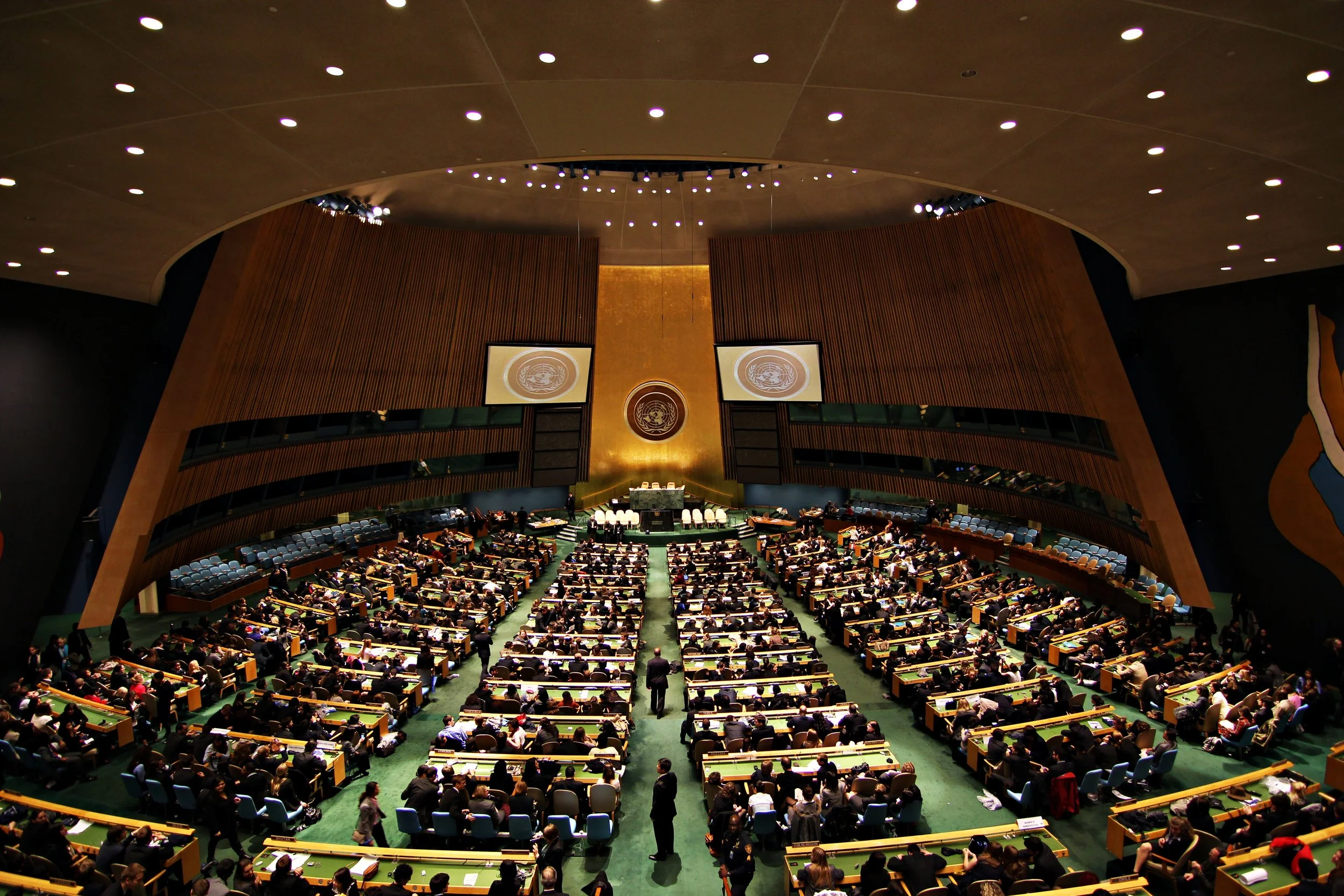 Committees Overview — Yale Model United Nations Brasil