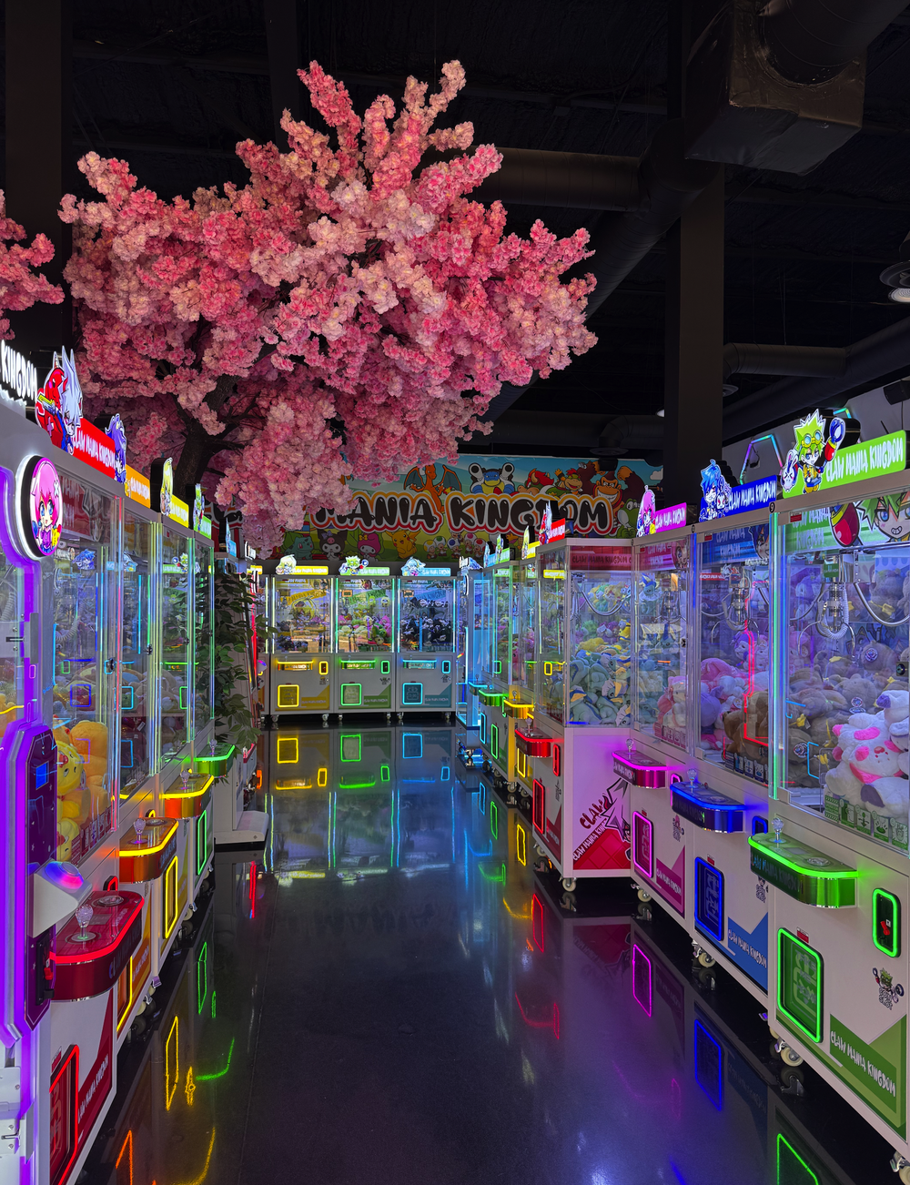 Claw Mania Kingdom | Experience Claw Games – Play Now