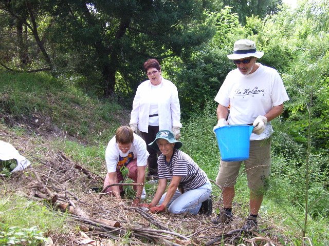 About SCF | Join Community Building Efforts Today — Sydney Community Forum