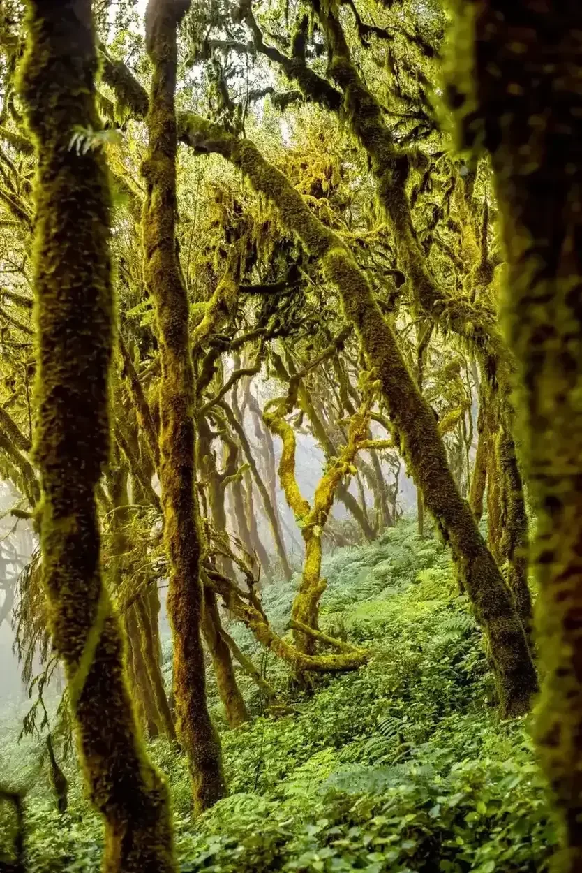 Our Mental Health Providers | Find Care at Tanglewood