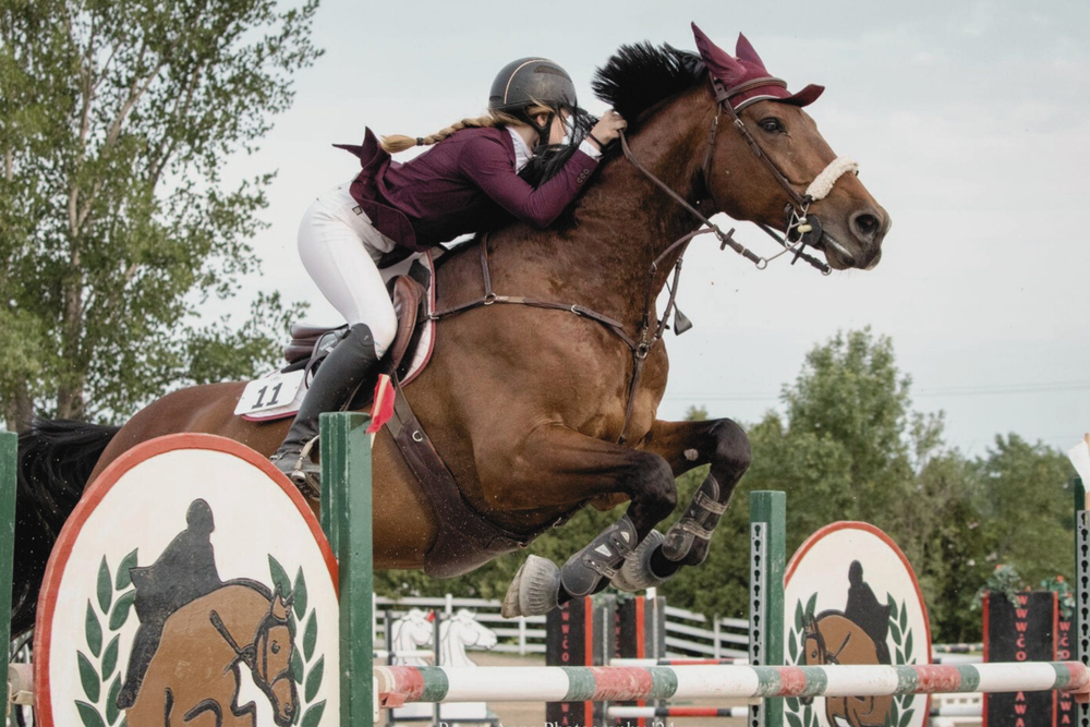 Minnesota Hunter Jumper Association