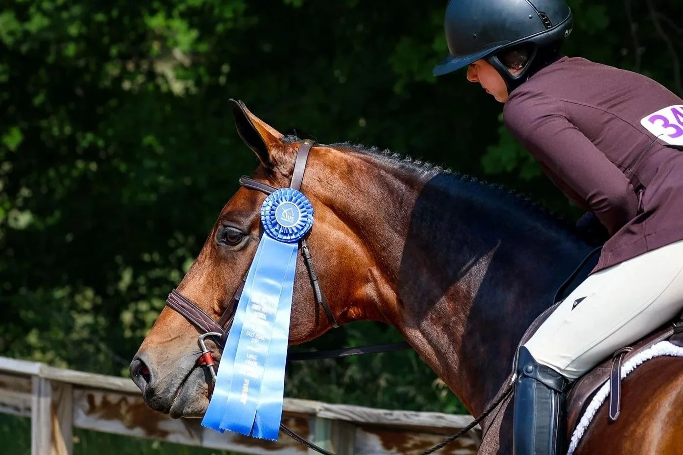 Points Explained — Minnesota Hunter Jumper Association
