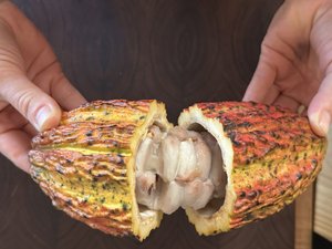 Tandy’s Café & Embers Chocolate | Phoenix Café, Brunch & Bean-to-Bar ...