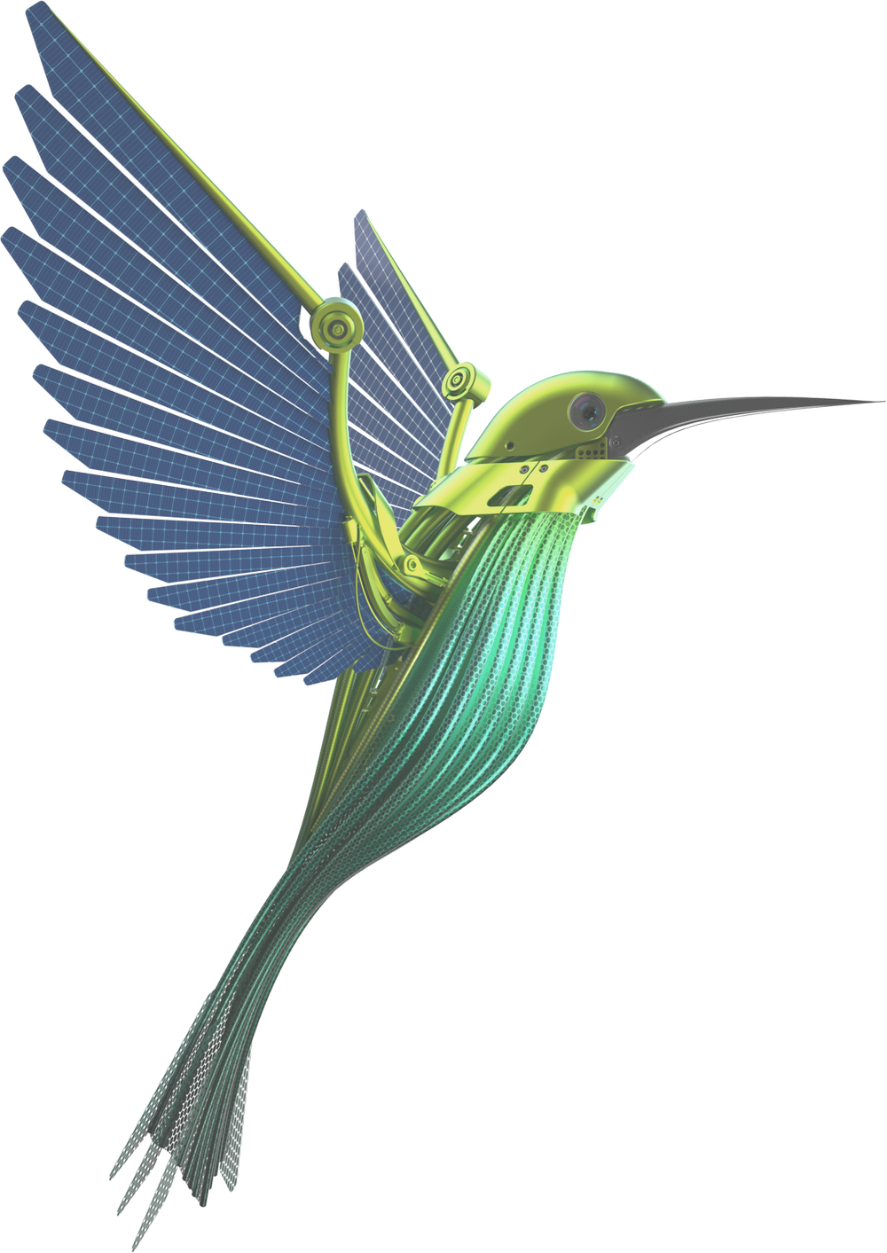 Sunbird | Discover Sustainable Solutions