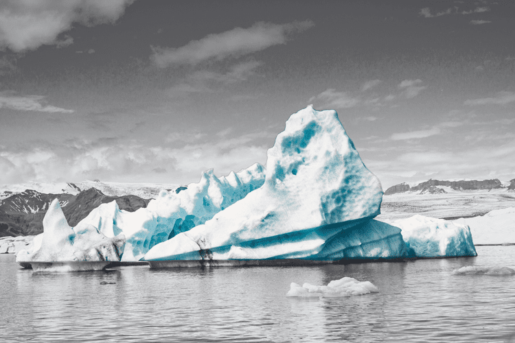The Climate Consultancy | Supporting organisations thrive in a low ...