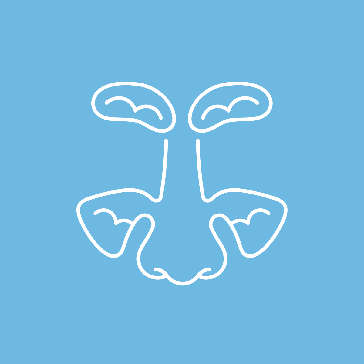 Næse og bihule | Vi udreder og behandler alle godartede sygdomme i næse ...