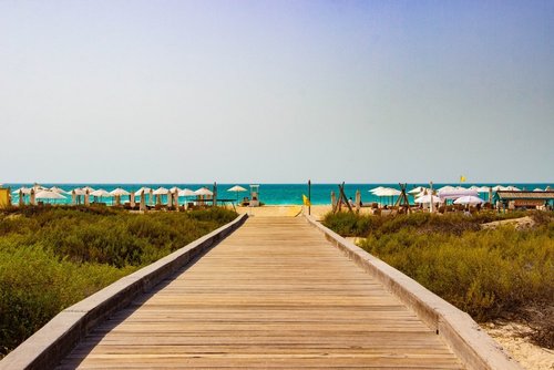Saadiyat Island | Discover & Experience Today
