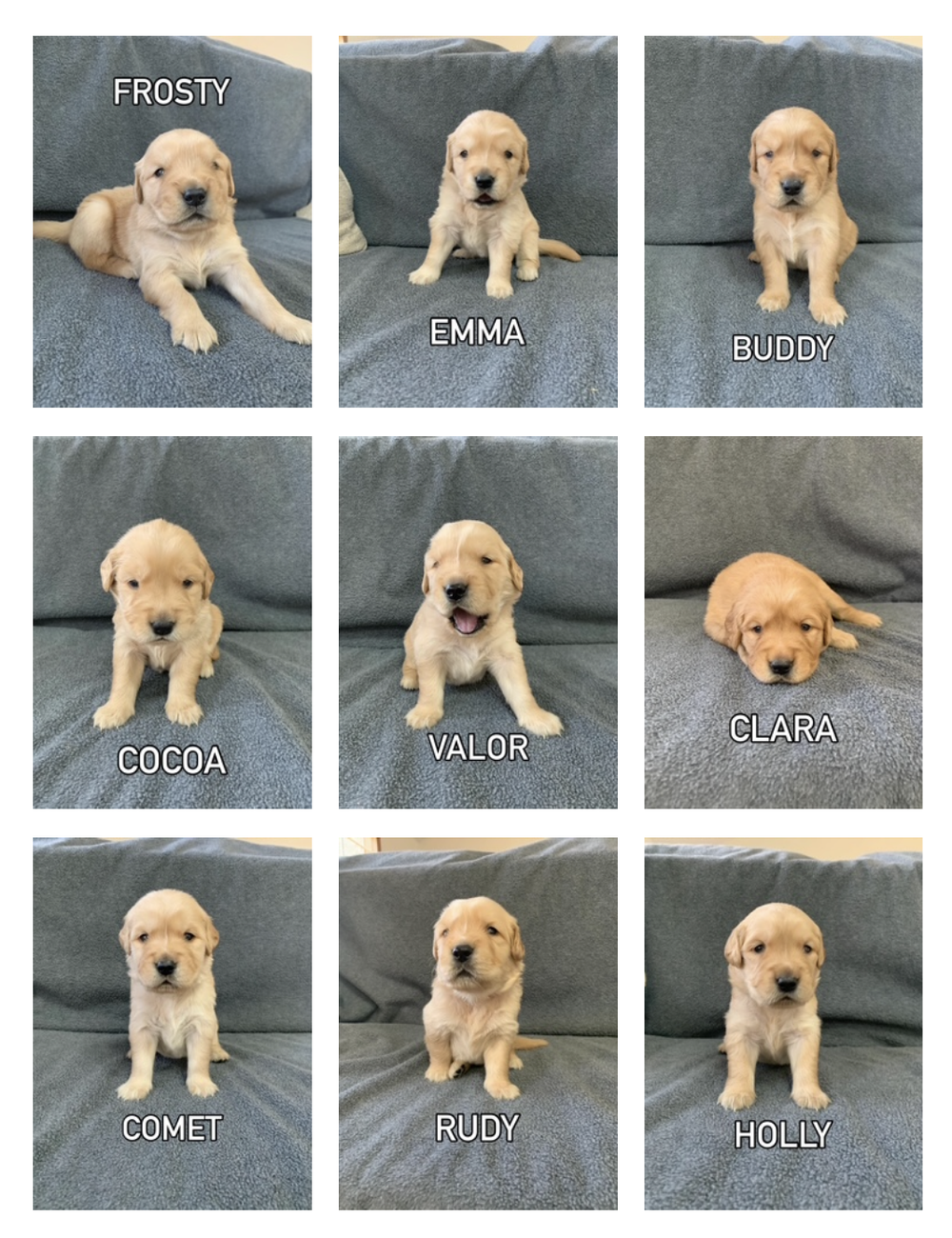 THREE Weeks Old!