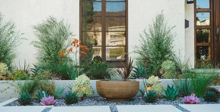 Eco Landscape | Drought-Tolerant Landscape Design Los Angeles & San ...