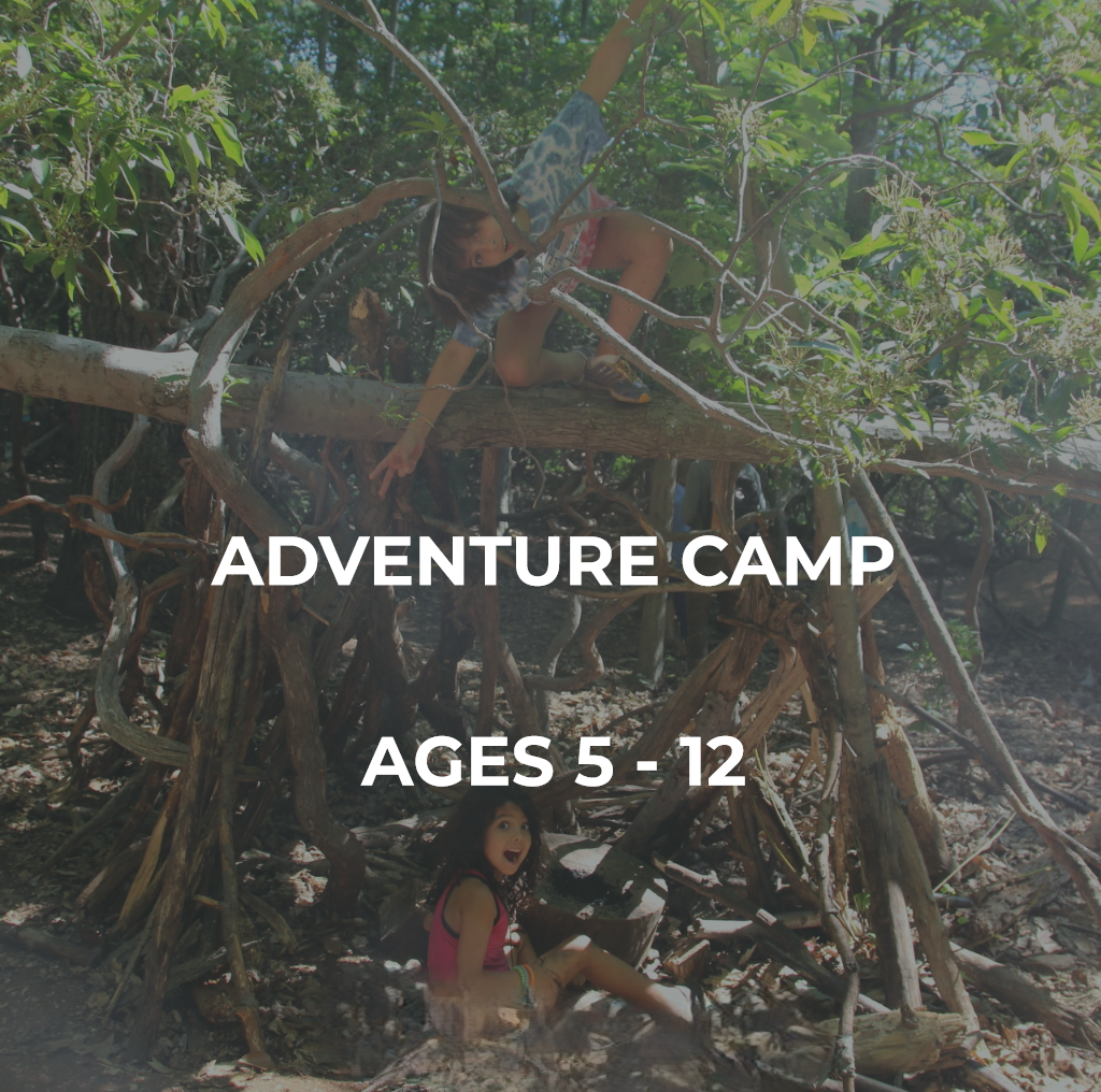 About Summer Camp — Common Ground