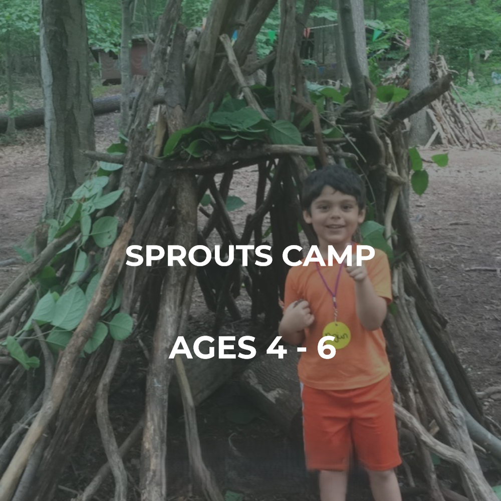 About Summer Camp — Common Ground