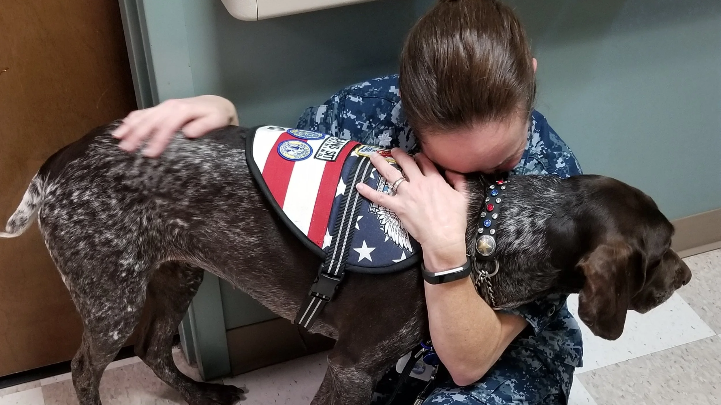 Veteran Service Dog Training & Placement | K-9 Caring Angels DMV — K-9 ...