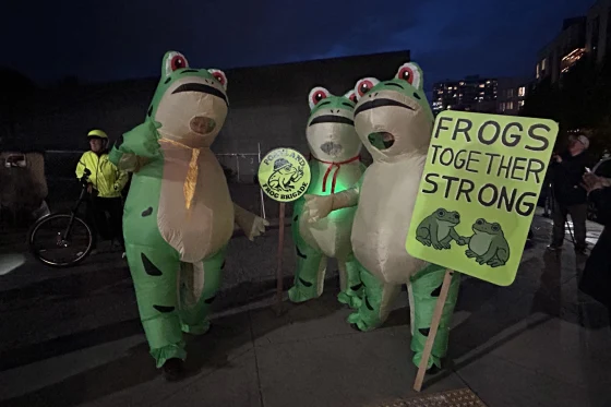 Portland Frog Brigade