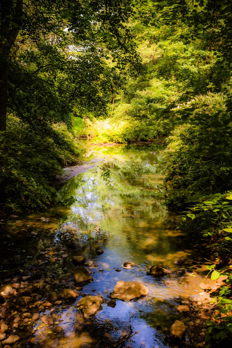 Clove Lakes Park — CityNeighborhoods.NYC