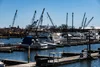 Mill Basin — CityNeighborhoods.NYC