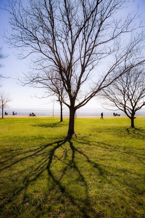 Dyker Beach Park — CityNeighborhoods.NYC