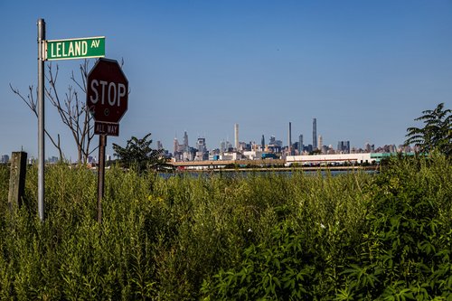Harding Park — CityNeighborhoods.NYC