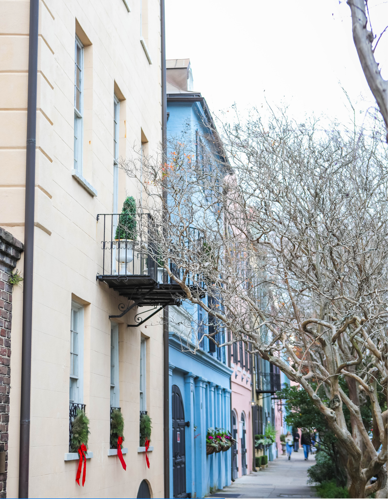 Palmetto & Pine Magazine | Life in South Carolina, Shared.