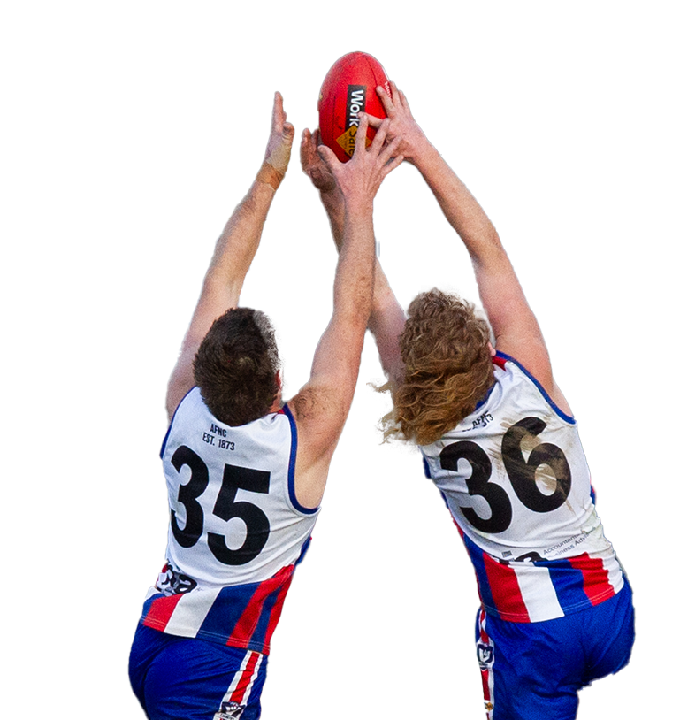 Football | Join the Action Today — Avoca Football Netball Club